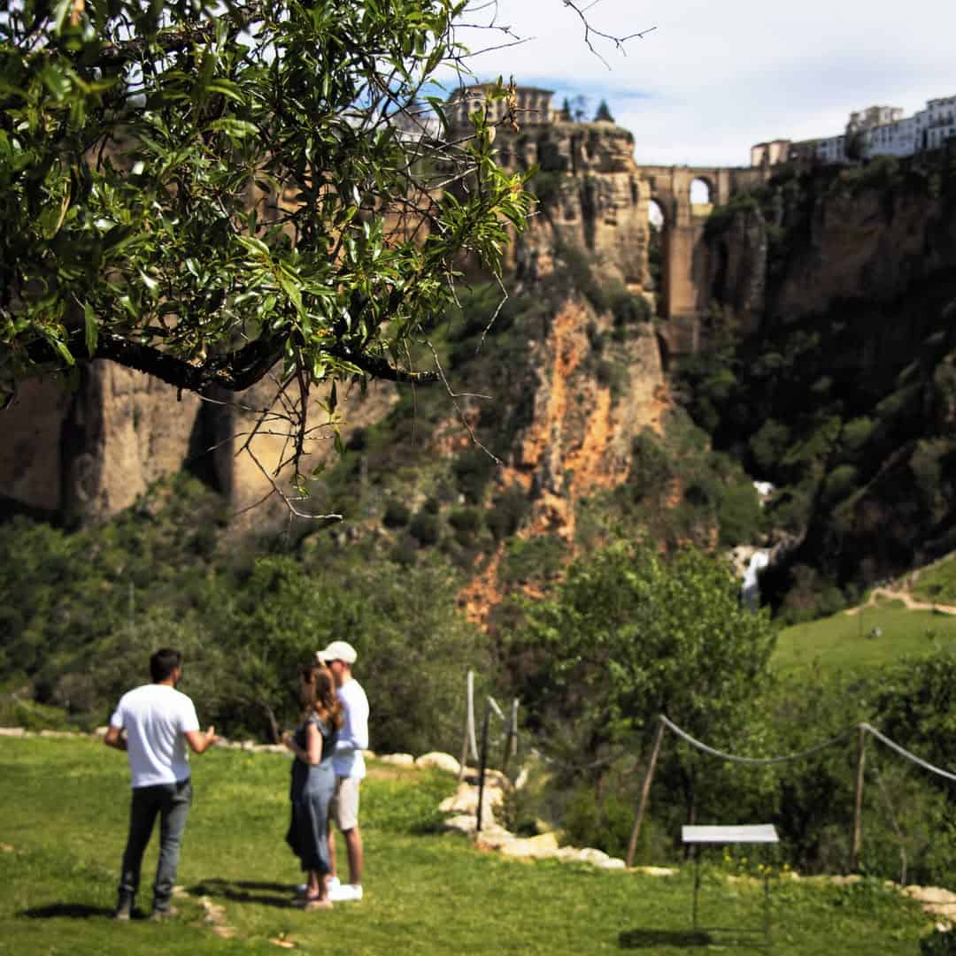 Cata de vino en Ronda - Samsara Wines