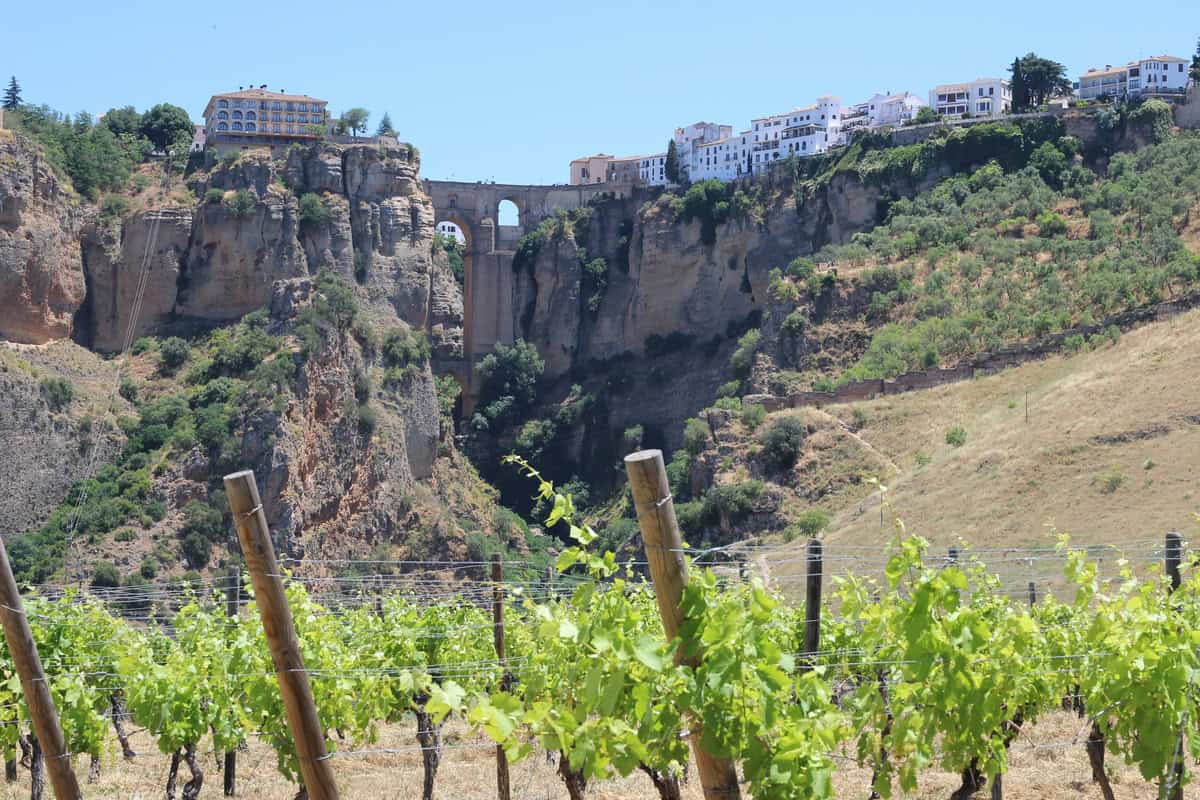 Cata de vino en Ronda - Samsara Wines